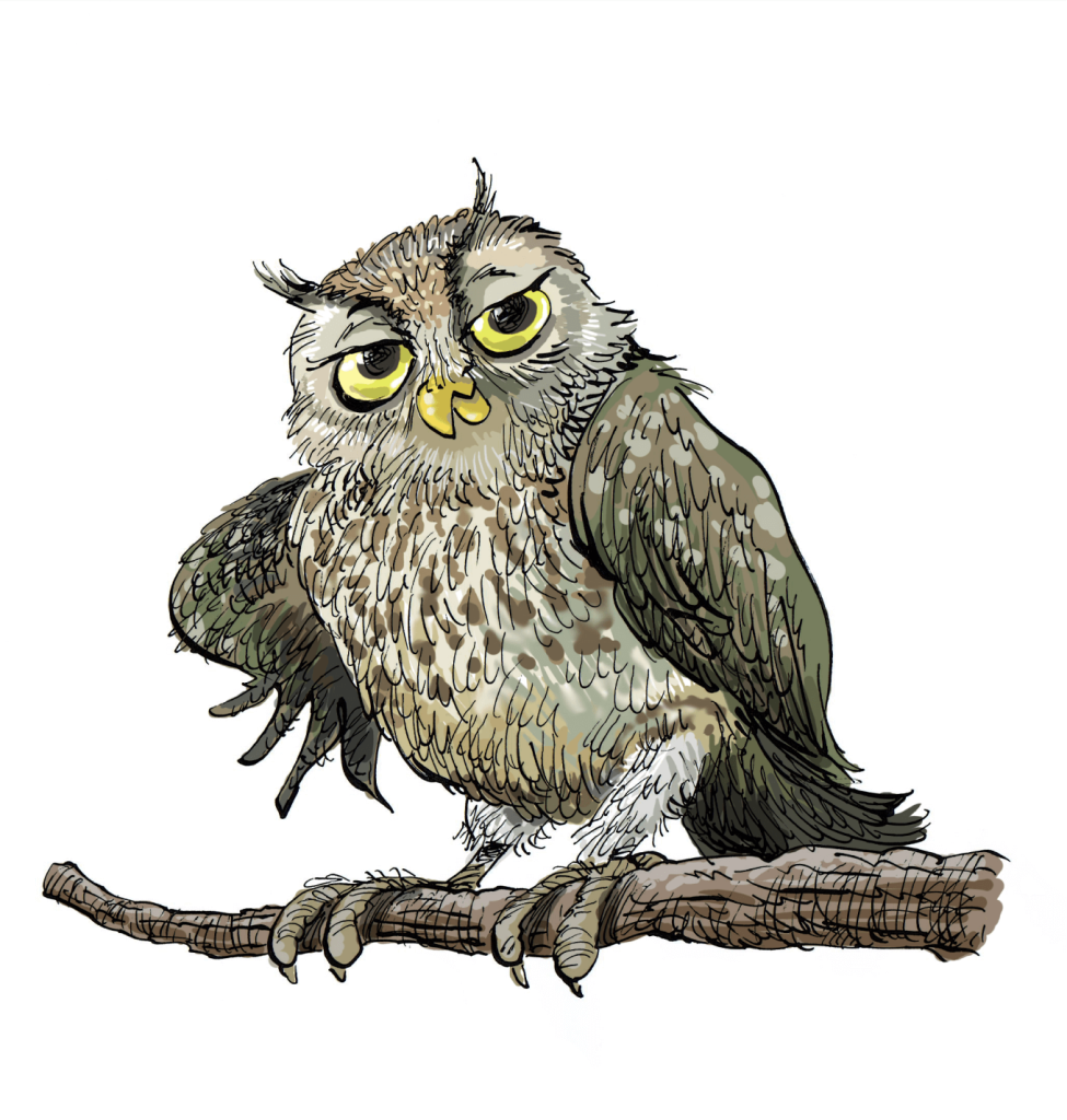 The Know-it-all-Owl - Sunil Cartoons