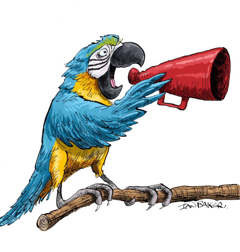 Peter Repeater Parrot - Sunil Cartoons