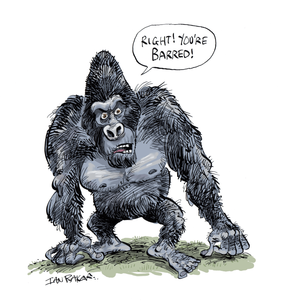 Gorilla Admin Tyrant - Sunil Cartoons