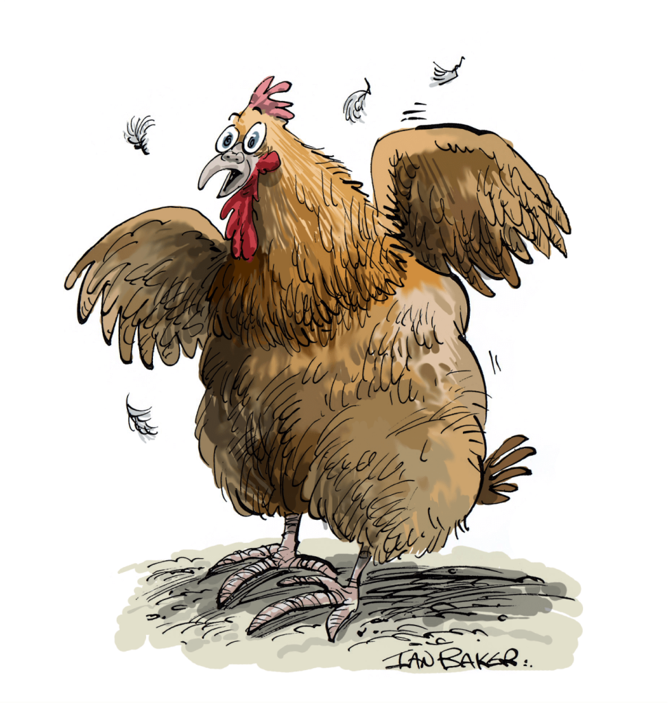 The Histrionic Hen - Sunil Cartoons